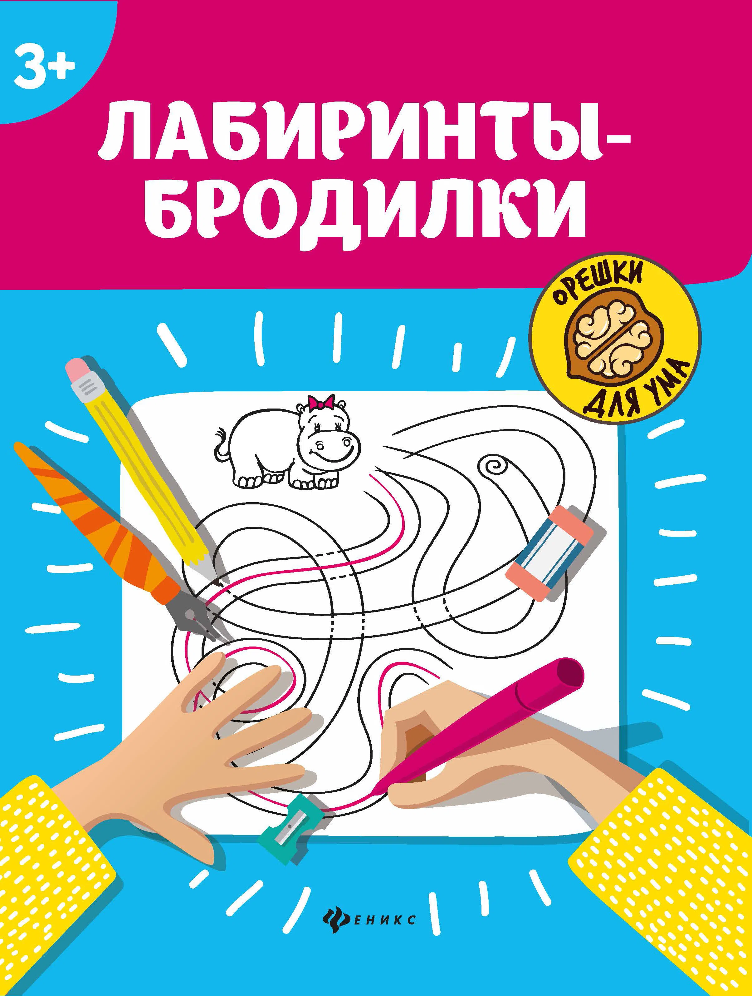 Лабиринты-бродилки: 3+ (Неизвестный автор) - купить книгу или взять ...